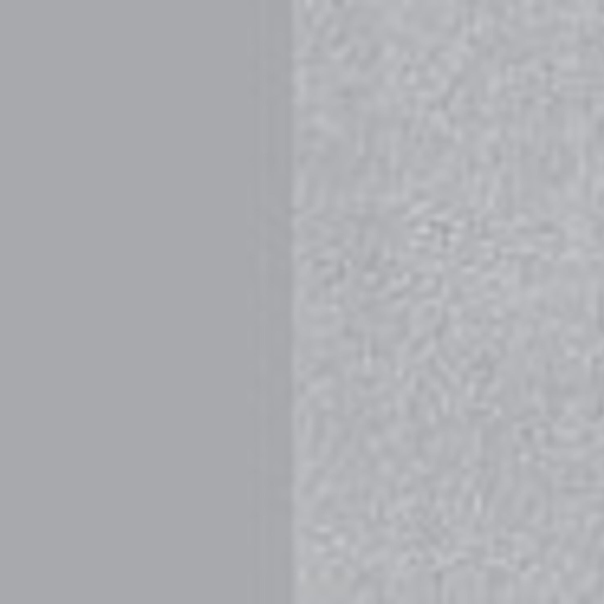 Kunststofvloeren voor vlees- en visverwerking | Remmers | Remmers